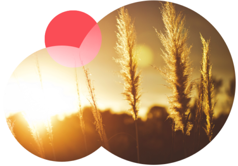 History - All Weather Group™